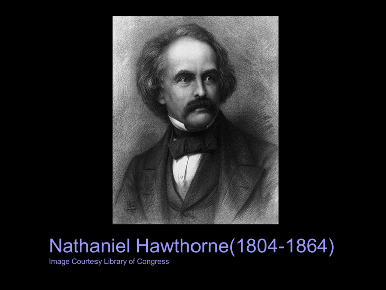 Nathaniel Hawthorne: Themes & Analysis Study Guide