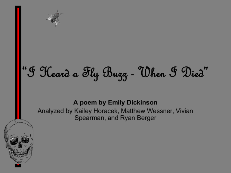 "I Heard a Fly Buzz" Analysis: Dickinson's Poem Explained