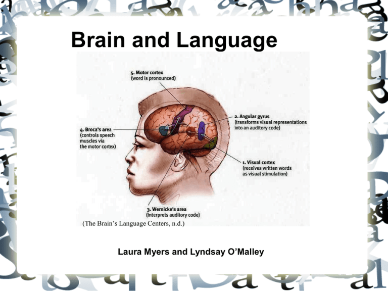 Brain and Language: Lateralization & Research
