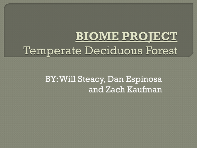 BIOME PROJECT Temperate Deciduous Forest
