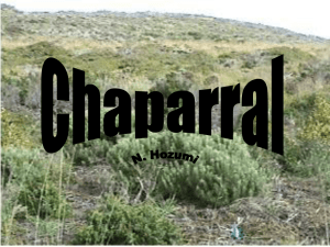 Chaparral Ecosystem: Food Web & Energy Flow