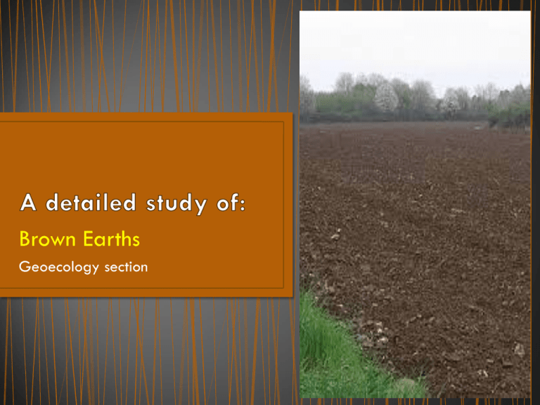 Brown Earth Soils: Formation, Profile & Uses in Ireland