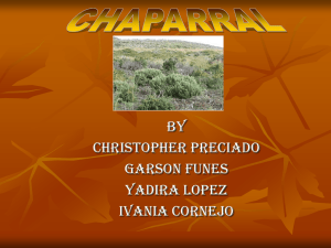 Chaparral Ecosystem: Food Web & Energy Flow