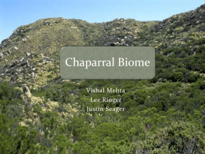 Chaparral Ecosystem: Food Web & Energy Flow
