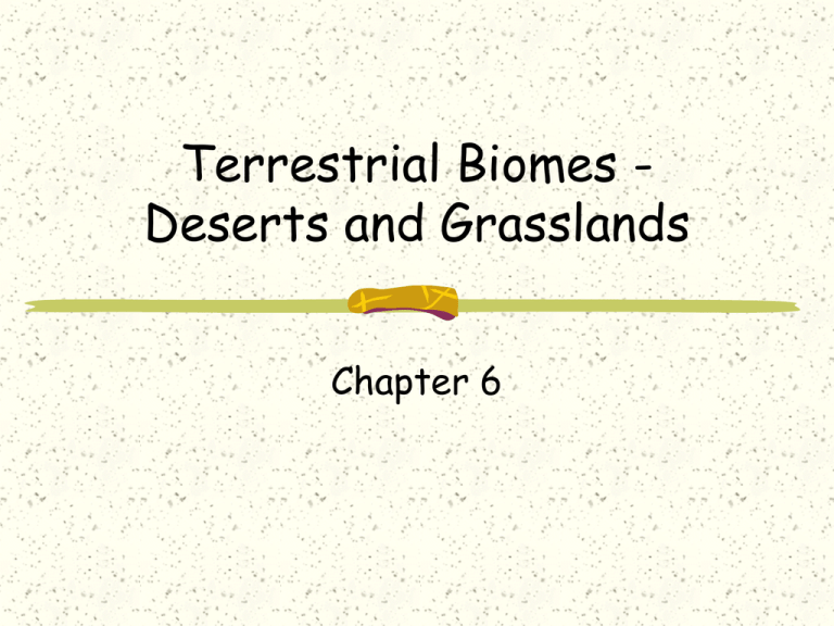 Deserts and Grasslands: Terrestrial Biomes Presentation