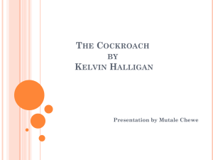 The Cockroach Poem Analysis by Kevin Halligan