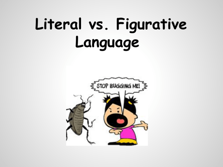 Literal vs. Figurative Language: Idioms & Examples