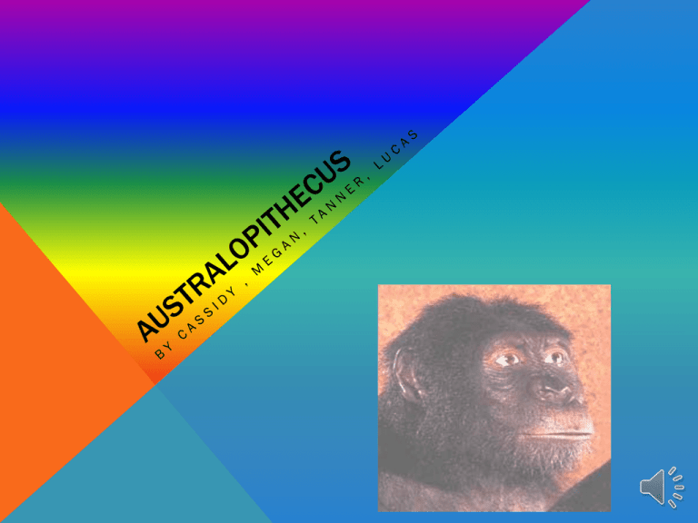 Australopithecus