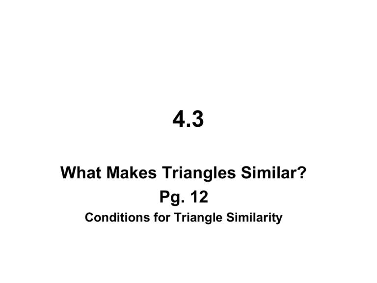 Triangle Similarity: SSS & AA Conditions Worksheet