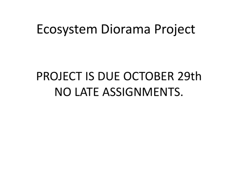 Ecosystem Diorama Project Assignment