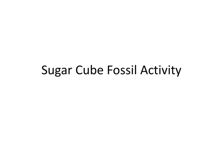 Sugar Cube Fossil Activity: Lab & Fossil Formation