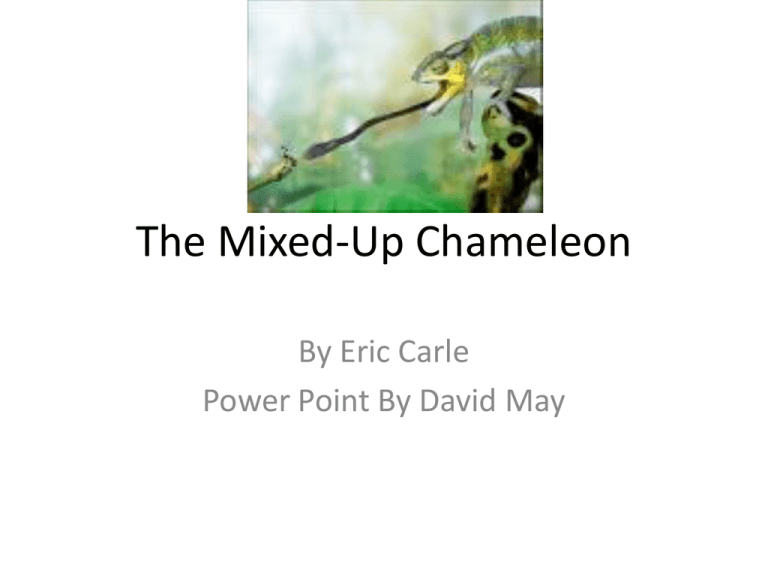 The Mixed-Up Chameleon: Book Analysis & Activities