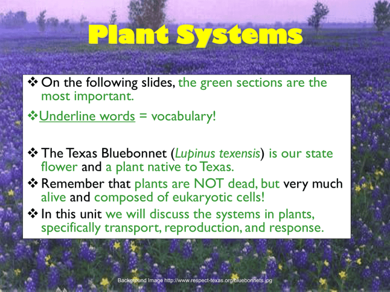 Plant Systems: Transport, Reproduction, Response