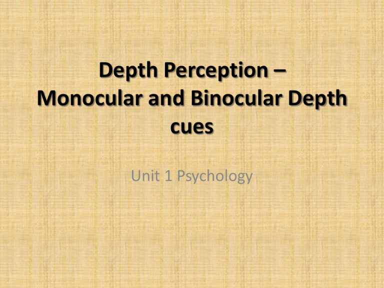 Depth Perception: Monocular & Binocular Cues