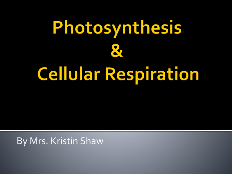 Photosynthesis & Cellular Respiration: Middle School Biology