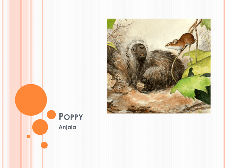 Poppy by Avi: Plot, Characters, Themes & Analysis Presentation