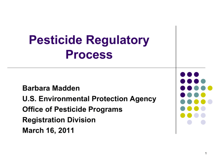 Pesticide Regulatory Process: EPA Overview