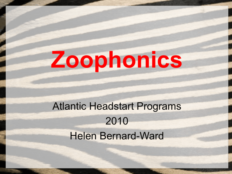 Zoo-phonics: A Multisensory Approach to Early Literacy