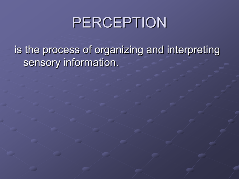 PERCEPTION Powerpoint