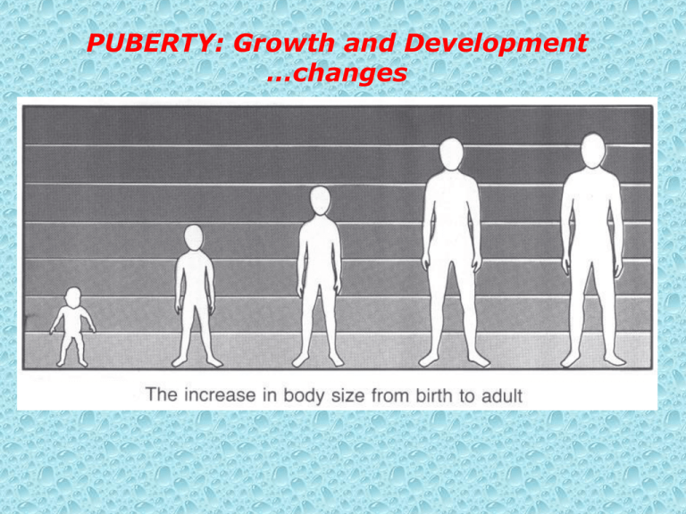 Puberty: Growth & Development - Teen Changes & Hormones
