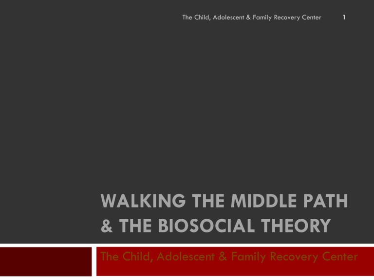 DBT: Walking the Middle Path & Biosocial Theory