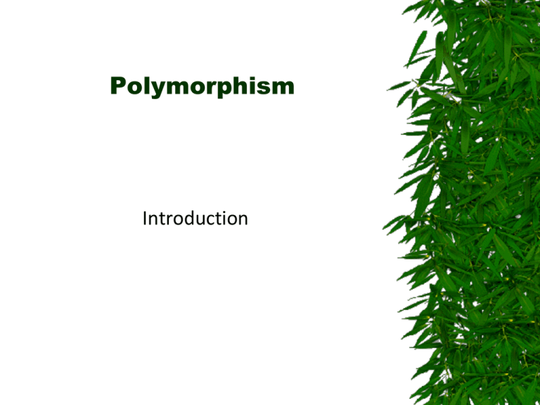 Polymorphism