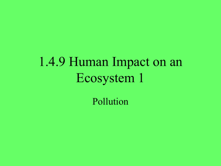 Human Impact: Pollution & Ecosystems Presentation