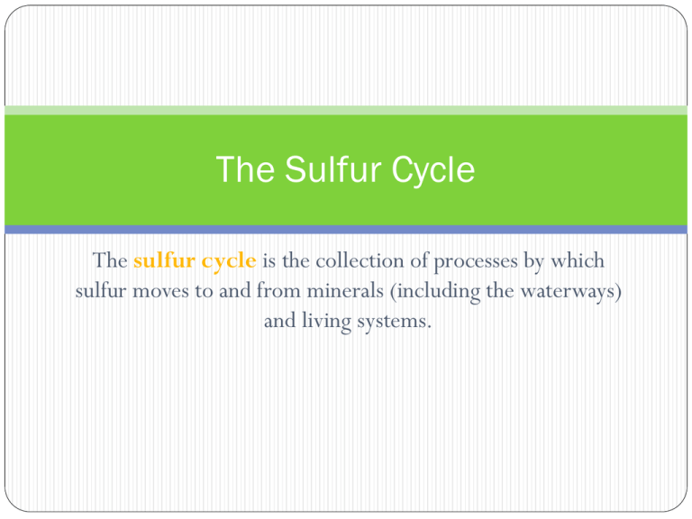The Sulfur Cycle: Environmental Science Presentation