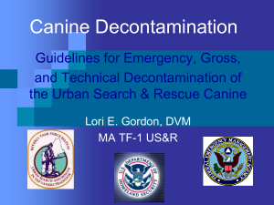 Detailed Troop Decontamination (DTD) Presentation