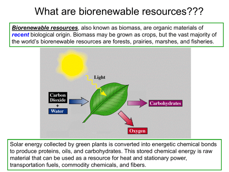 Introduction to biorenewable resources