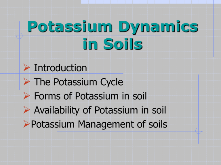 Potassium Dynamics in Soils: A Comprehensive Overview