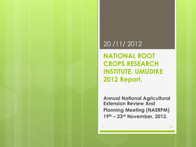 national root crops