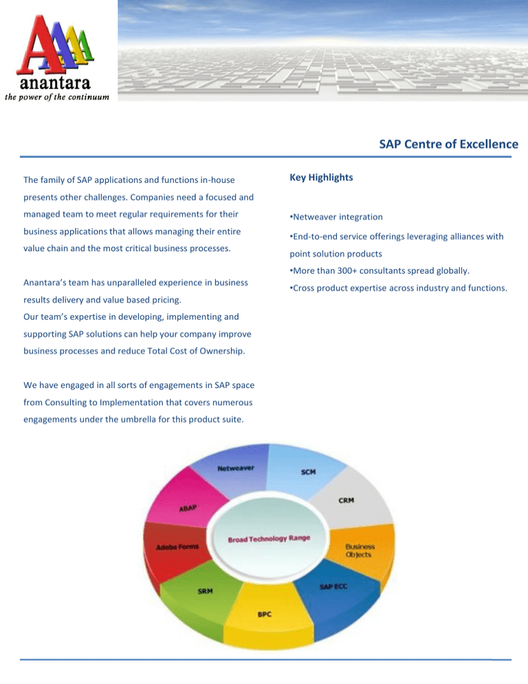SAP Centre of Excellence
