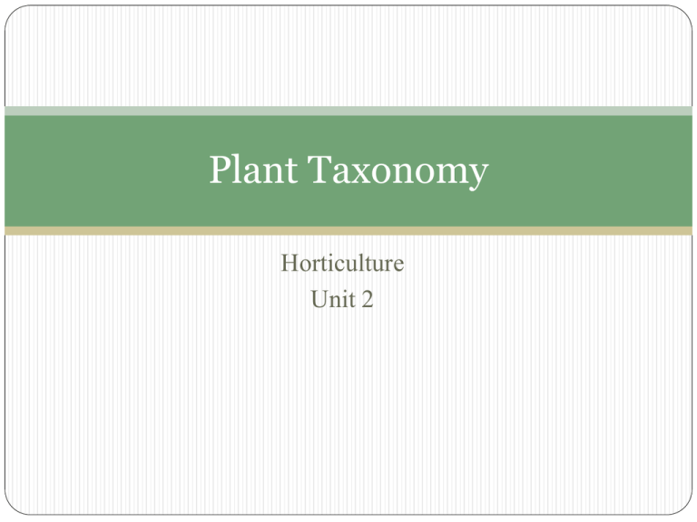 Plant Taxonomy