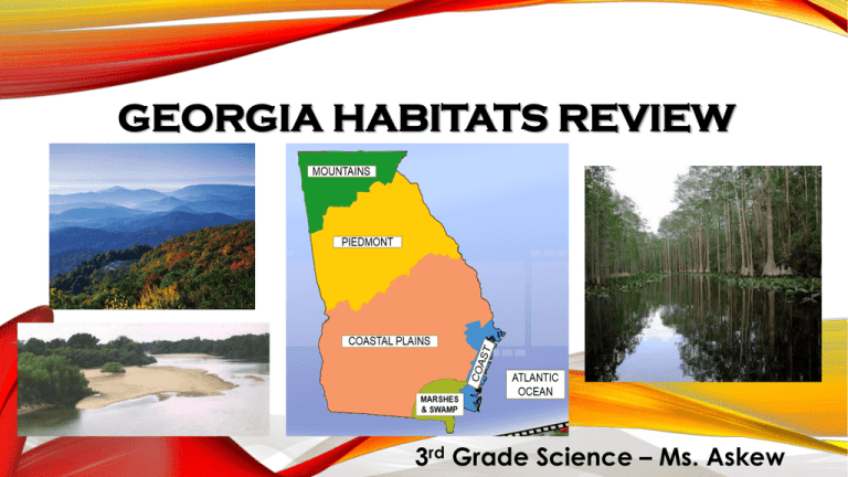 Georgia Habitats Review: 3rd Grade Science Worksheet