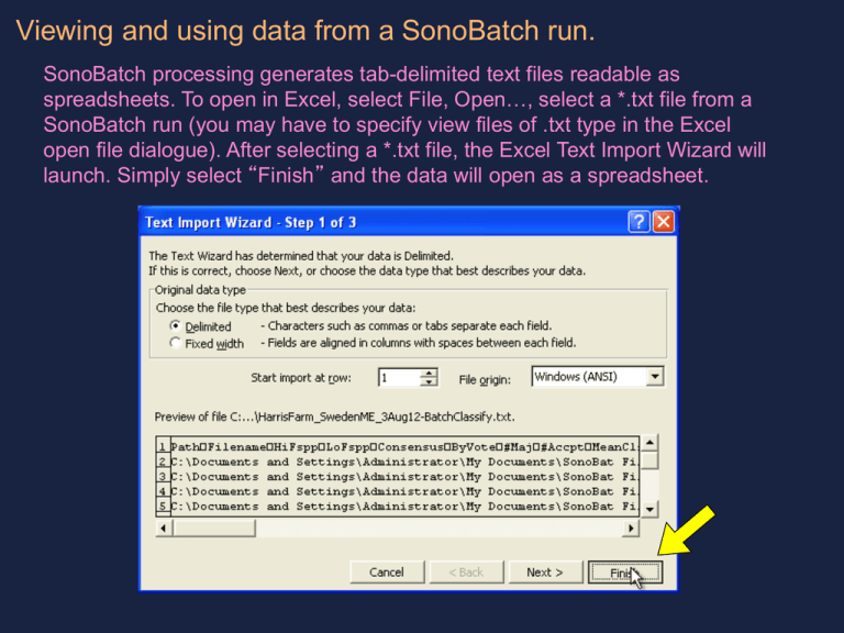 SonoBatch Data: Excel & SonoBat Tutorial