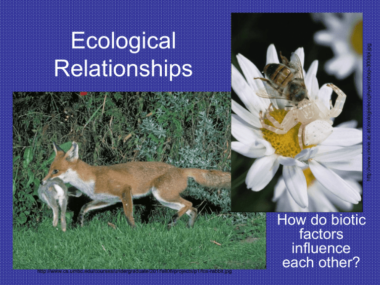 Ecological Relationships