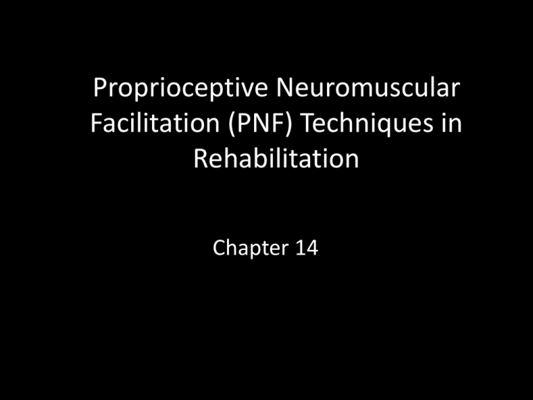 PNF Techniques in Rehabilitation: Patterns & Exercises