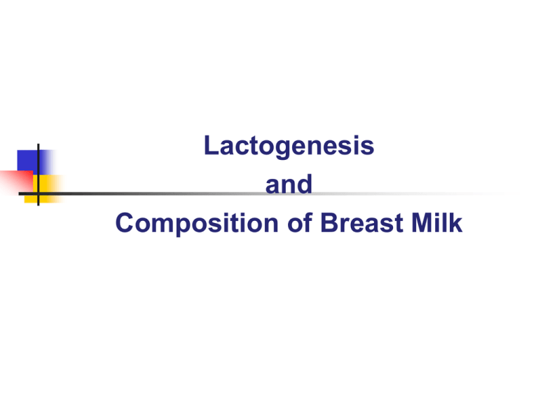 Lactogenesis & Breast Milk Composition: A Presentation