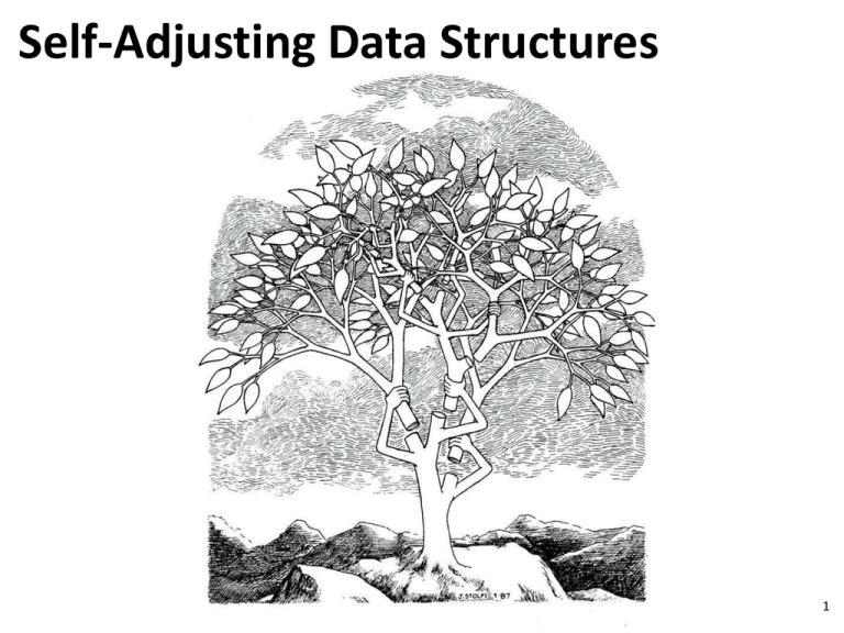 Advanced Data Structures Department Of Computer Science 1141
