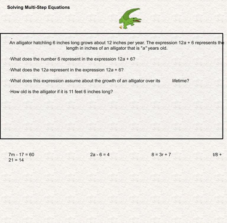 Solving Multi-Step Equations