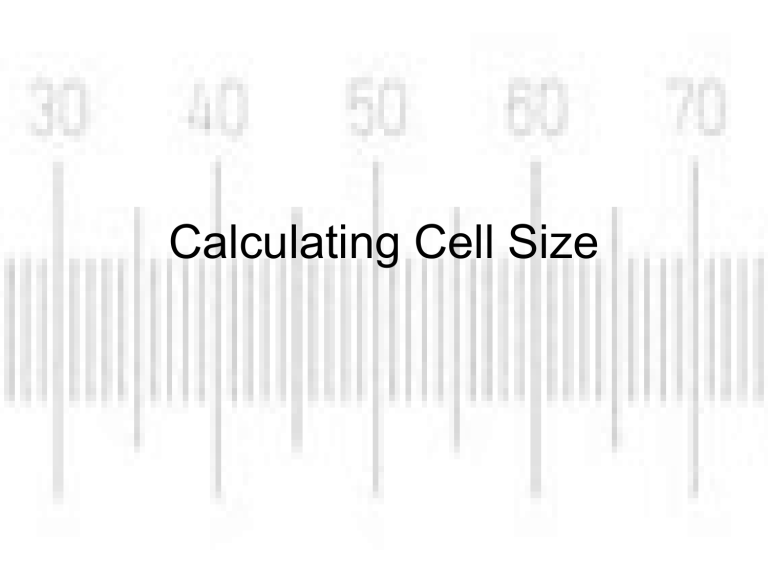 Calculating Cell Size: Microscopy Worksheet