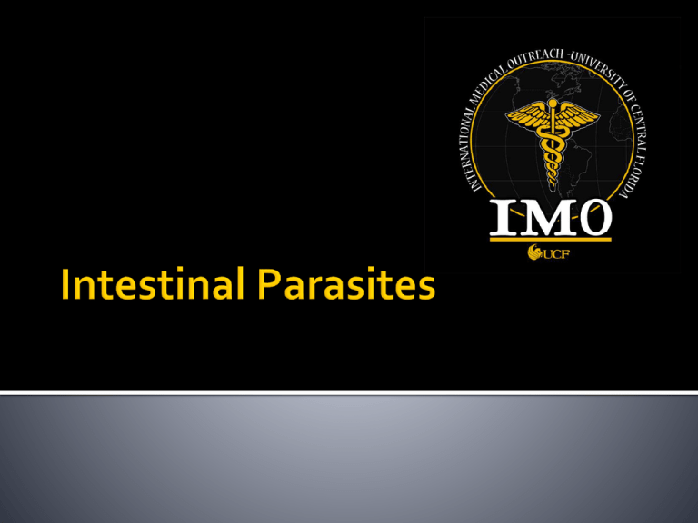 Intestinal Parasites: Types, Symptoms & Treatment