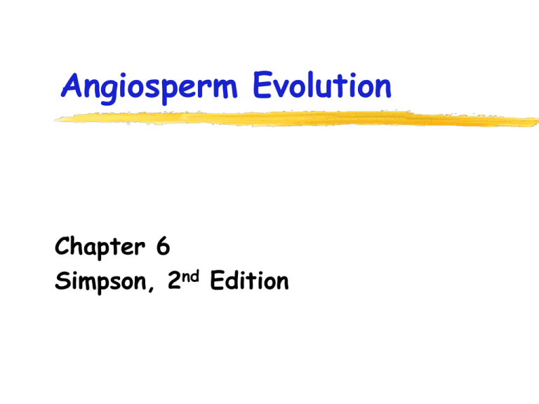 Angiosperm Evolution: Flowers, Systematics, and Phylogeny
