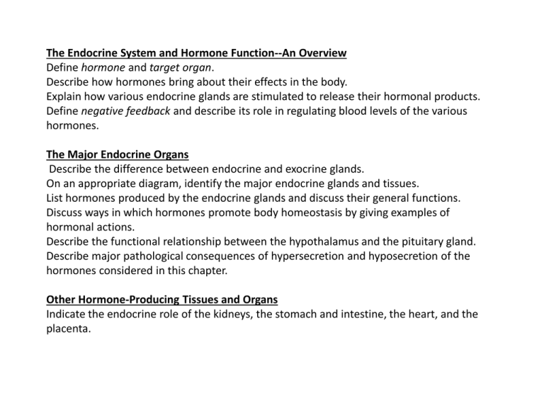 Endocrine System & Hormone Function Overview