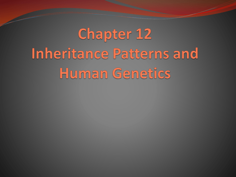 Inheritance Patterns & Human Genetics Presentation