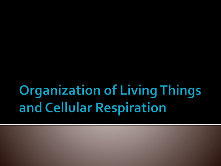 Organization of Living Things and Cellular Respiration