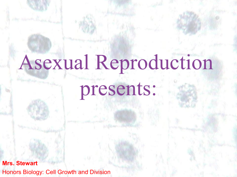 Asexual Reproduction & Cell Division: Honors Biology