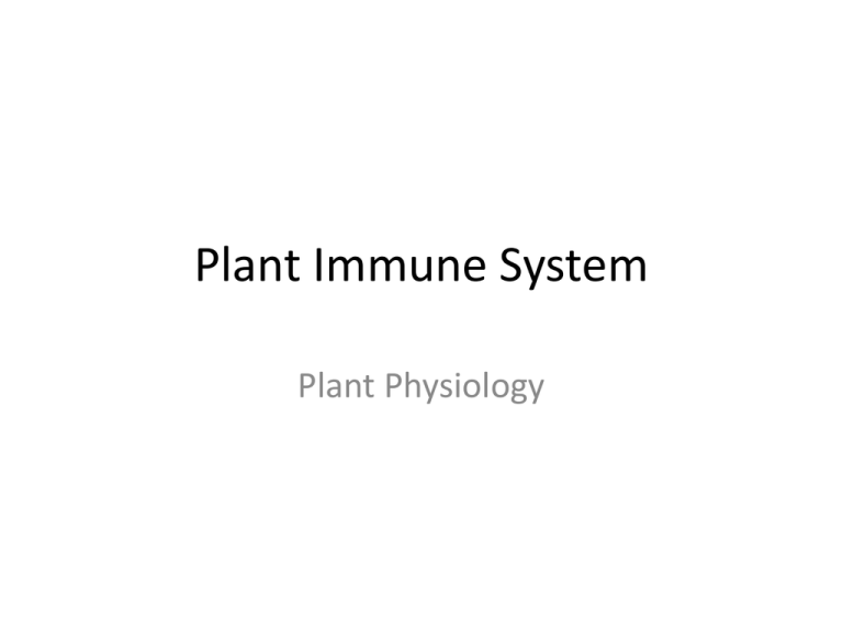 Plant Immune System: Resistance & Defense Mechanisms