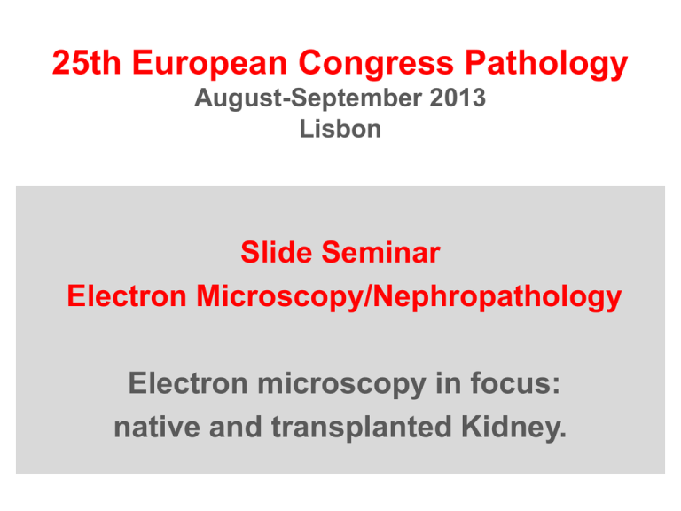 Electron Microscopy in Kidney Disease: A Case Study